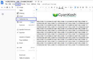 THREE WAYS to create HORIZONTAL LINES in GOOGLE DOCS